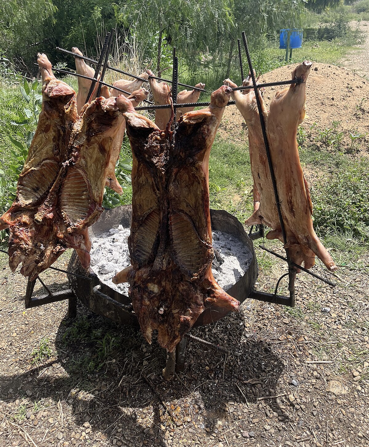 Gastronomía tarijeña: Chancho a la cruz y Saice chapaco - turismo ...